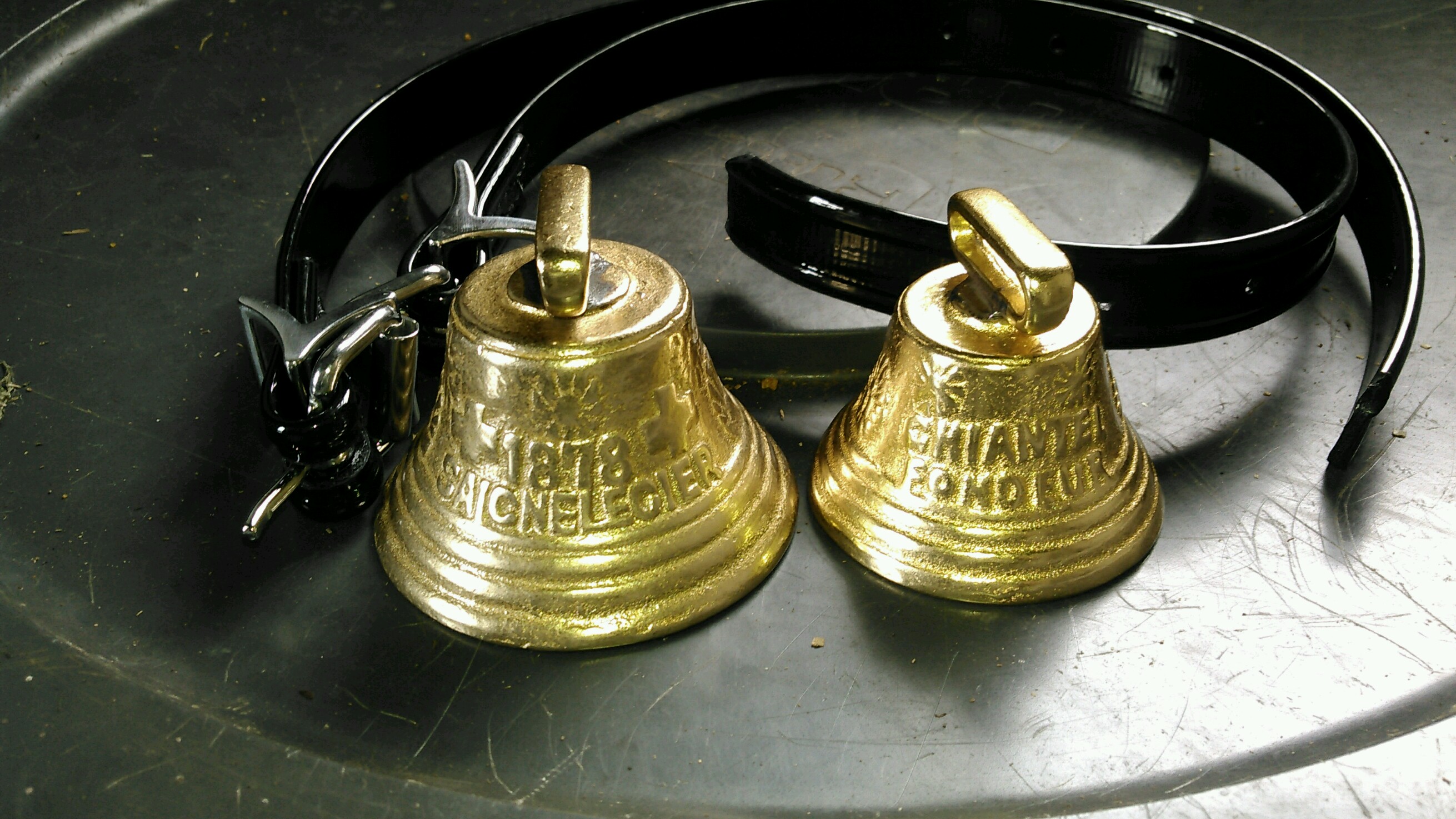 Bells – RicelandMeadows