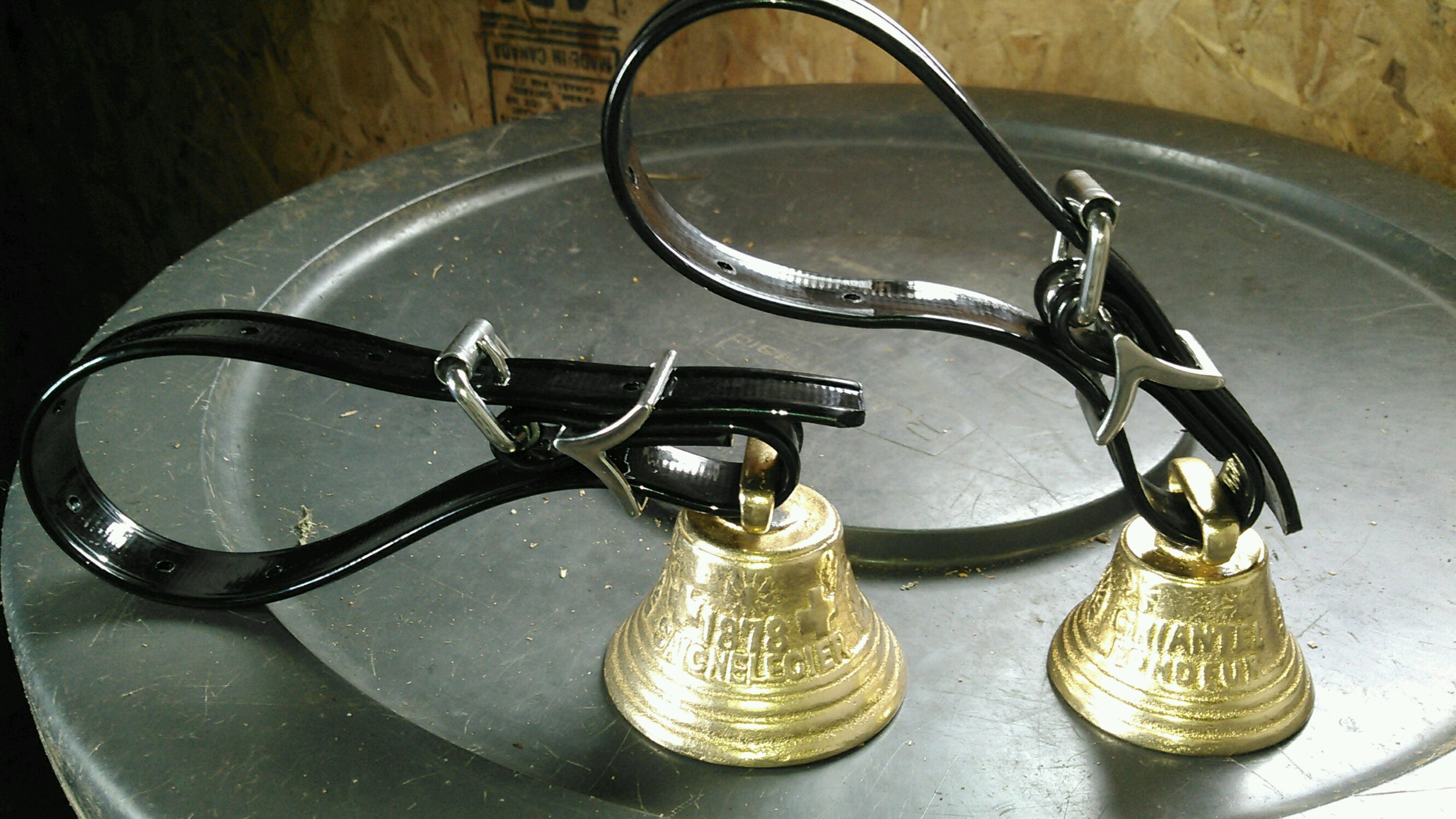 Abby Gets Her Bells – RicelandMeadows