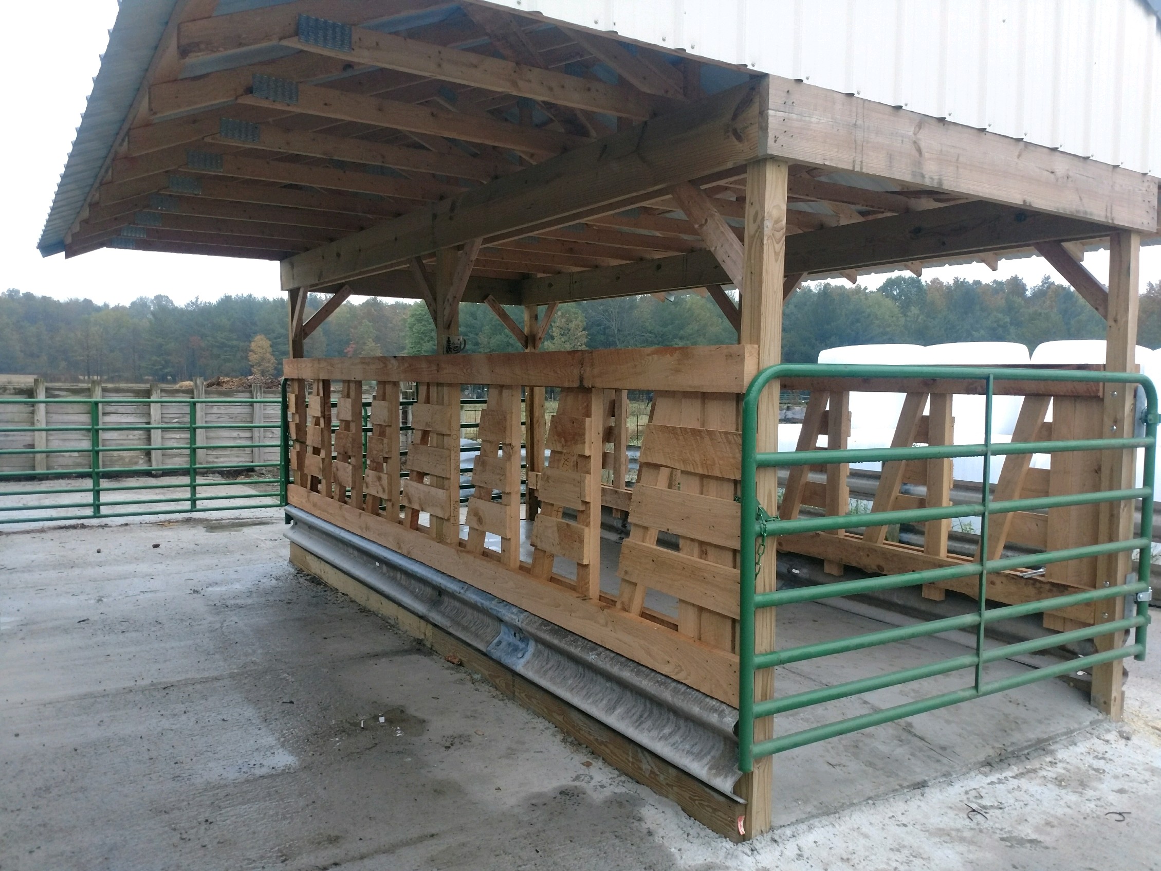 Cattle Hay Feeder – RicelandMeadows